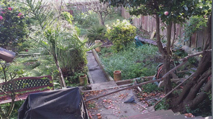 Drought Prompts Ugliest Yard Competition in Bay Area – NBC 7 San Diego