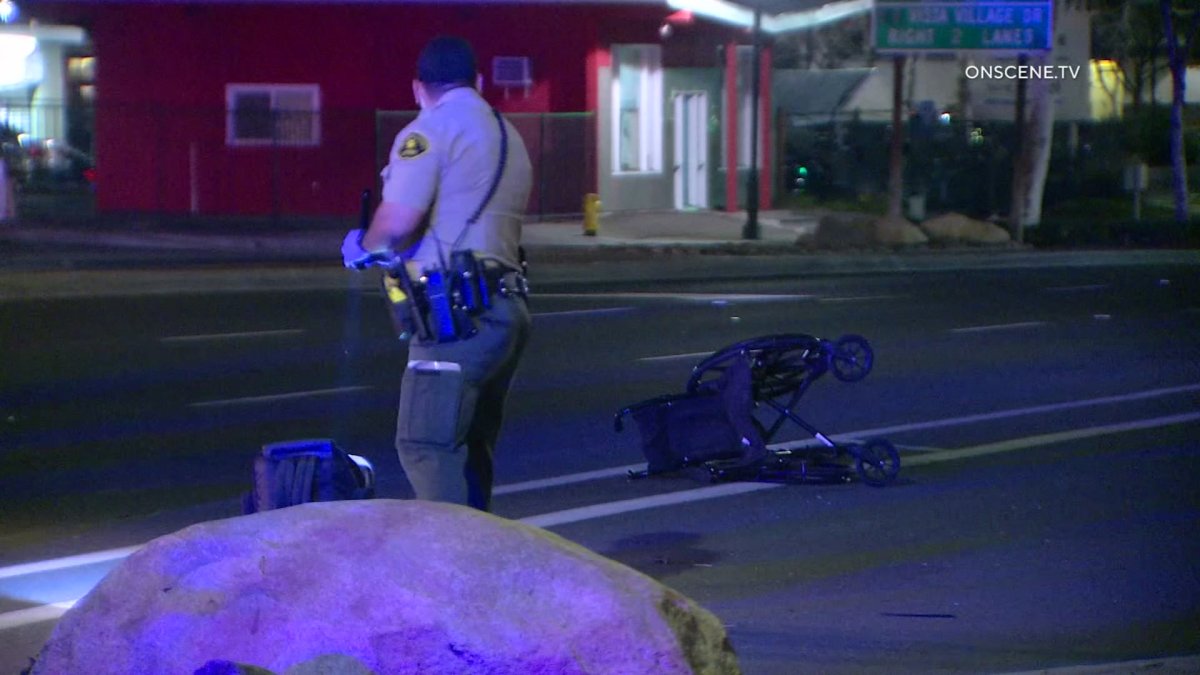 Police Search for Hit-and-Run Driver Who Fatally Struck Pedestrian in ...
