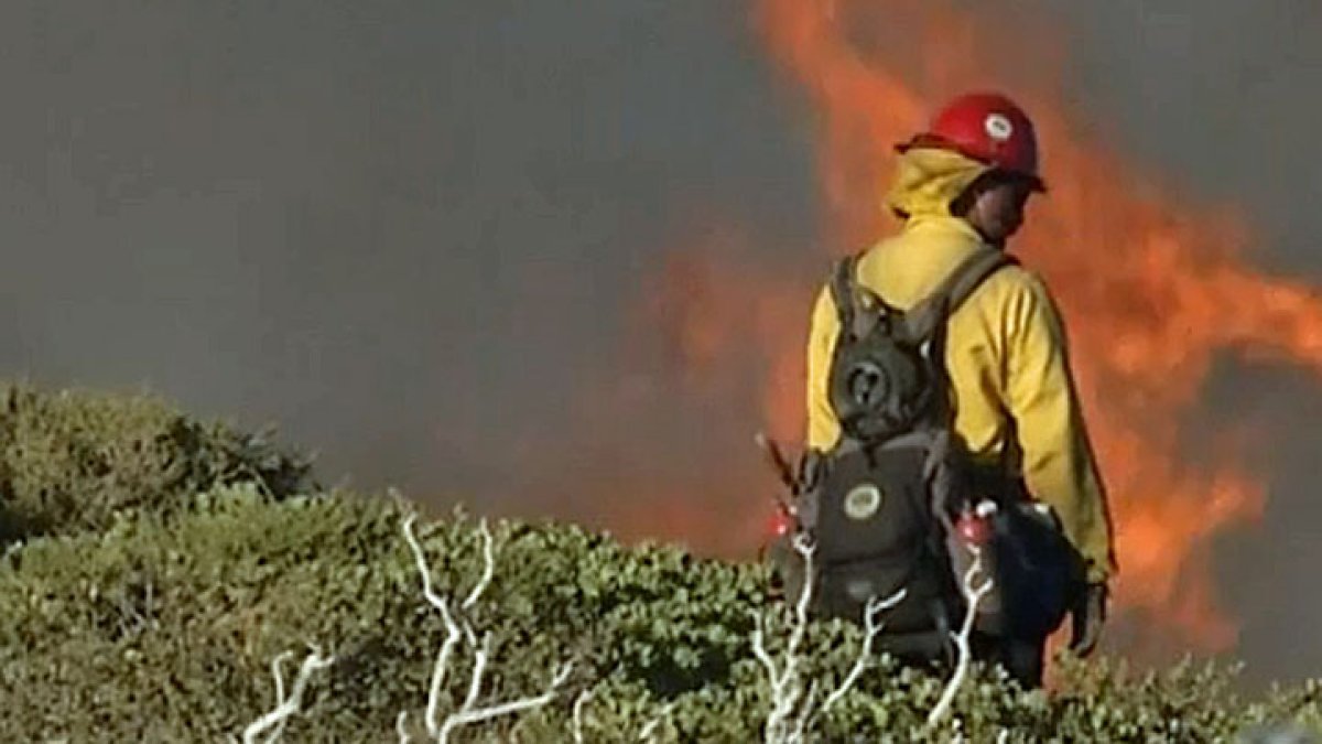 Defensible Space is Key and Constantly Needed: San Diego Fire Officials ...