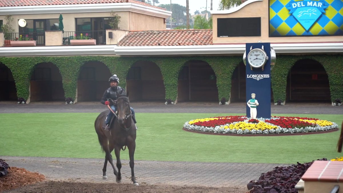 No Fans Allowed at Del Mar Racetrack’s Opening Day – NBC 7 San Diego