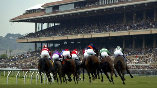 Second horse dies this year from racing injury at Del Mar Racetrack ...