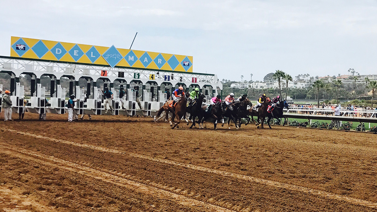Del Mar Racetrack Defends Races During Extreme Heat – NBC 7 San Diego