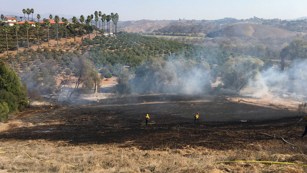 Man Arrested for Allegedly Starting 5-Acre Fallbrook Fire – NBC 7 San Diego