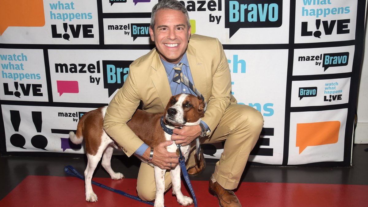 Andy Cohen Announces That He Has Re-Homed Adopted Dog Wacha – NBC 7 San ...
