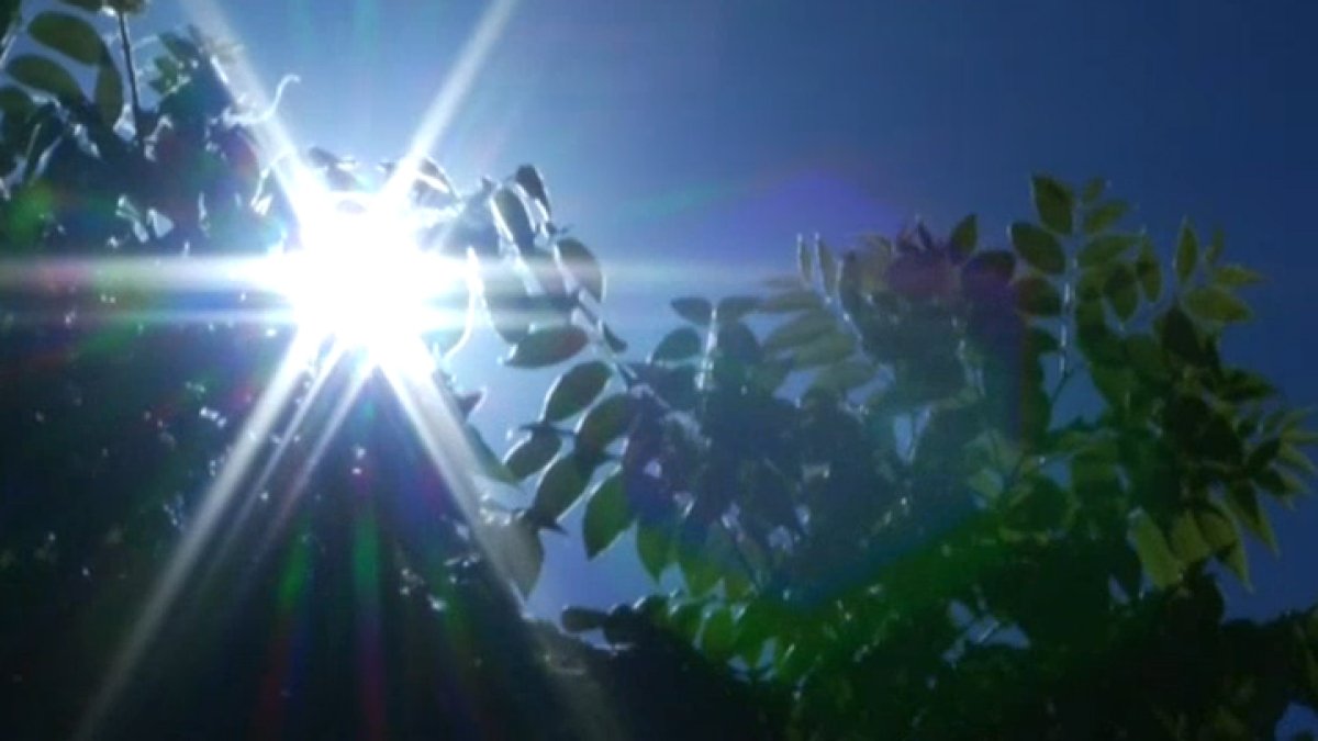 San Diego Temps Reach 100s During Long Summer Heat Wave – NBC 7 San Diego