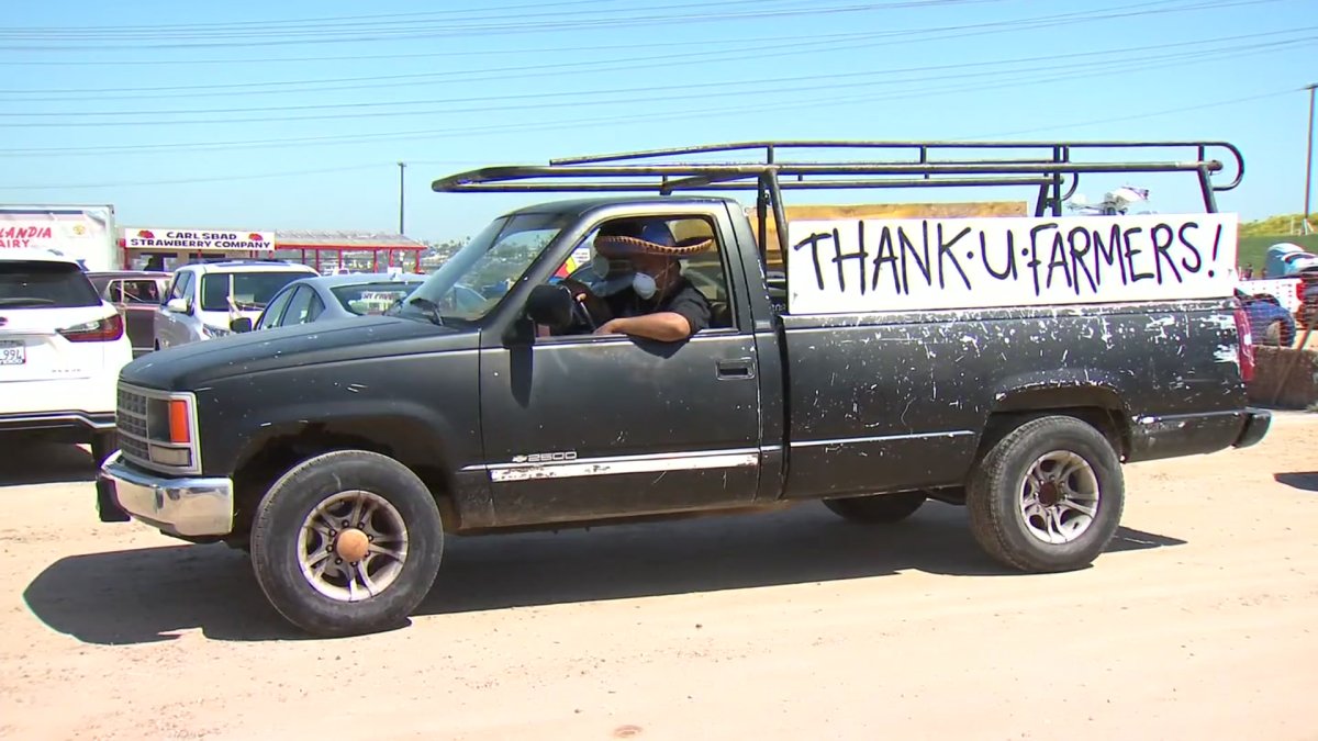 Dozens Show Up to Thank San Diego Farmworkers With a ‘Caravan of ...