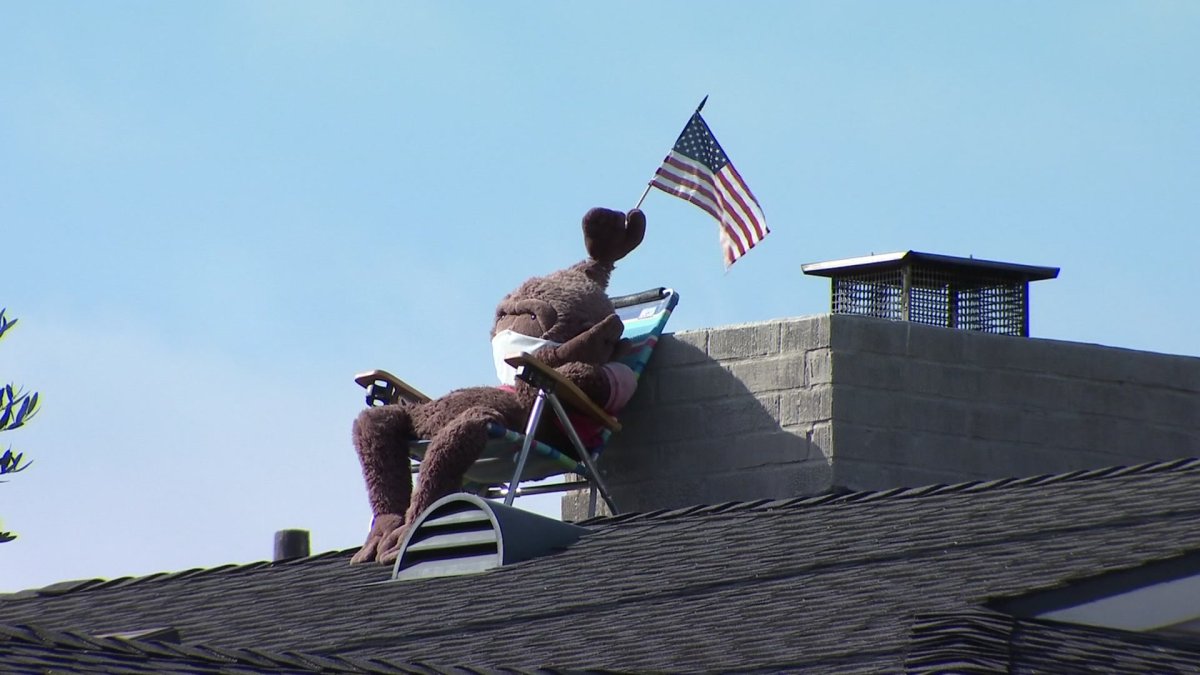 Stuffed Monkey Decoration Sparks Concerns of Racism In Point Loma – NBC ...