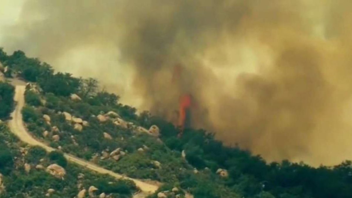 No Serious Damage Caused by Skyline Fire: Cal Fire – NBC 7 San Diego