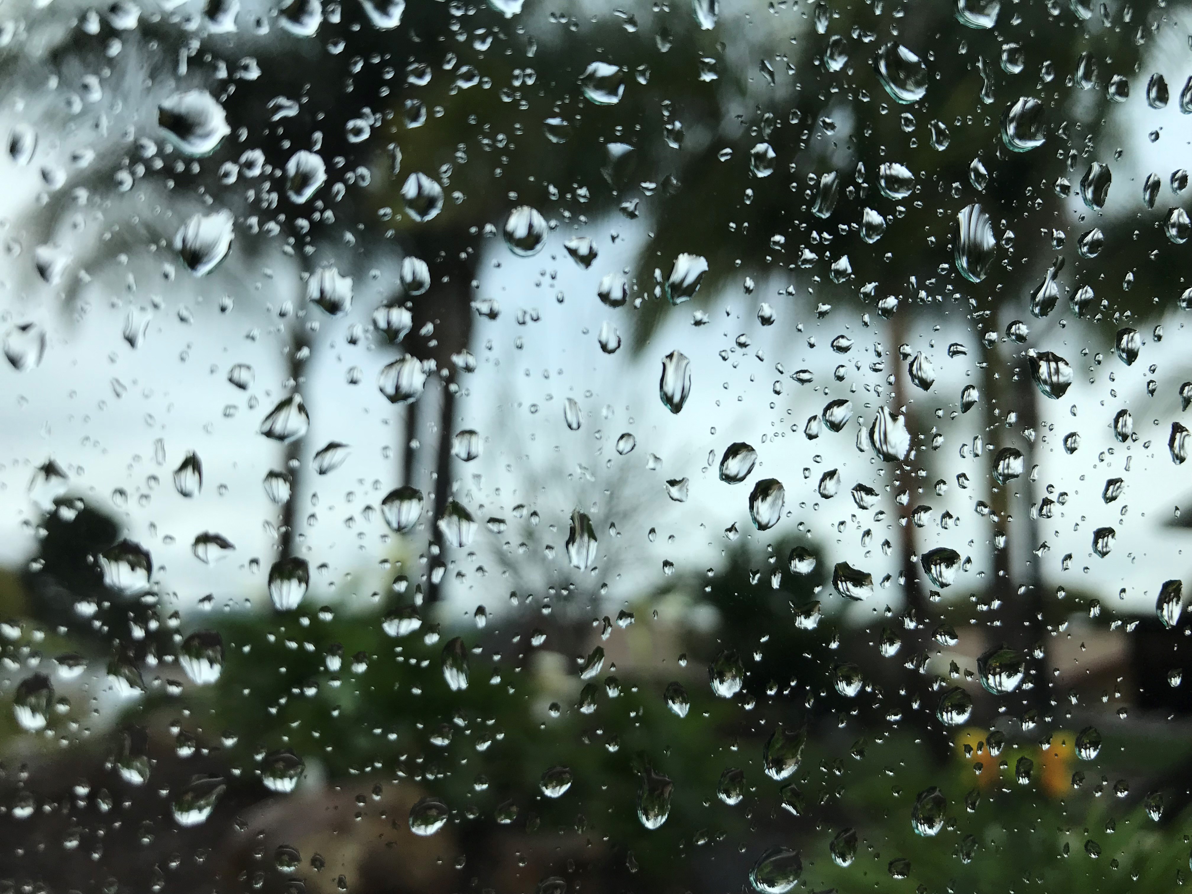 Slow-Moving Storm Takes Its Sweet Time Across San Diego – NBC 7 San Diego