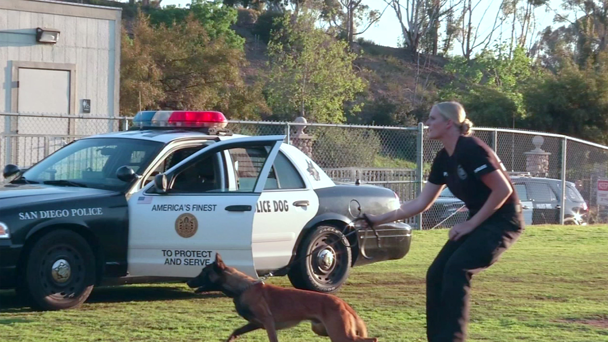 SDPD’s Women in Blue Set High Standards – NBC 7 San Diego