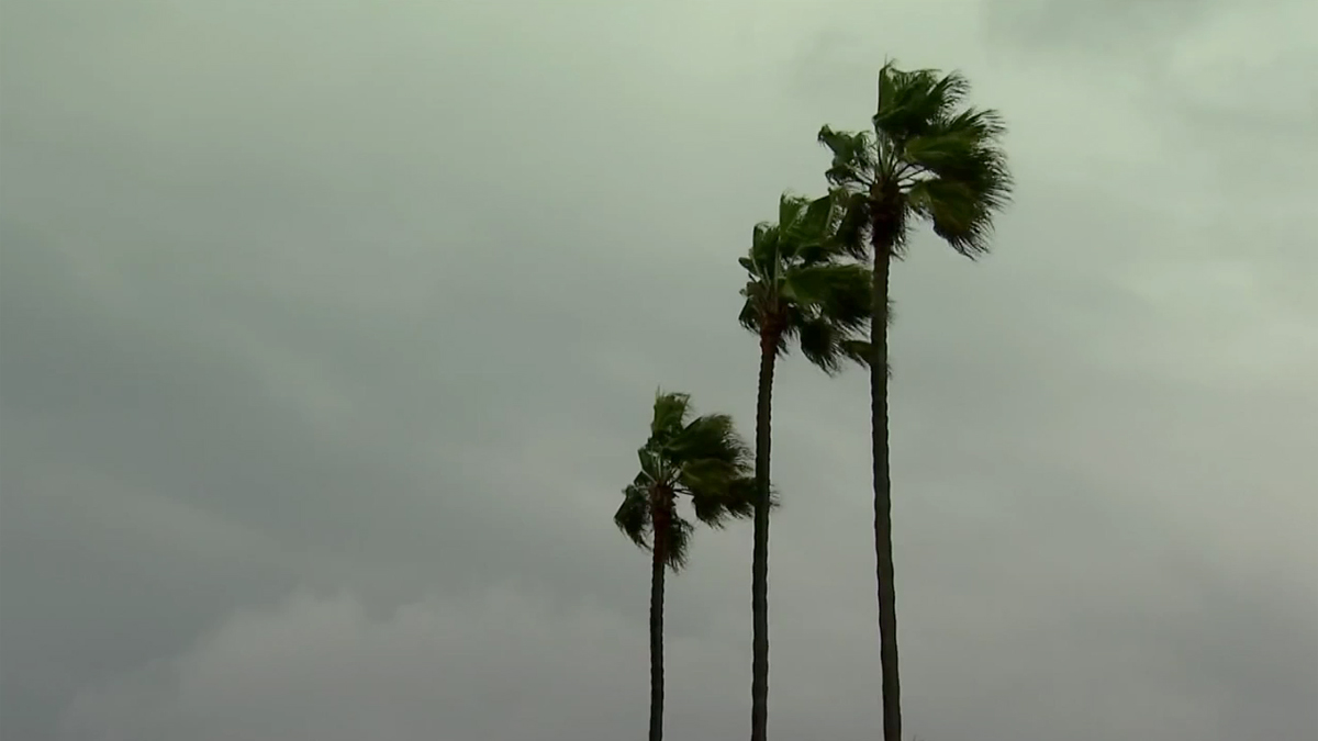 Gust Over 70 mph Recorded Amid High Wind Warning – NBC 7 San Diego