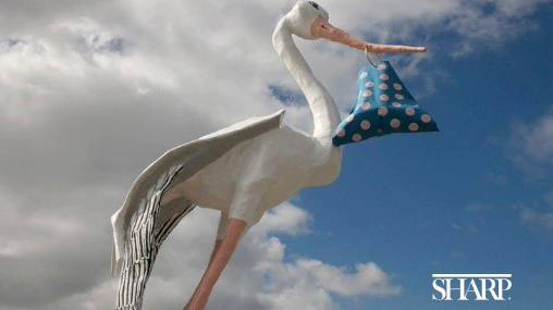 Happy ‘Bird’ Day: Iconic Stork Sculpture at Sharp Mary Birch Turns 60 ...