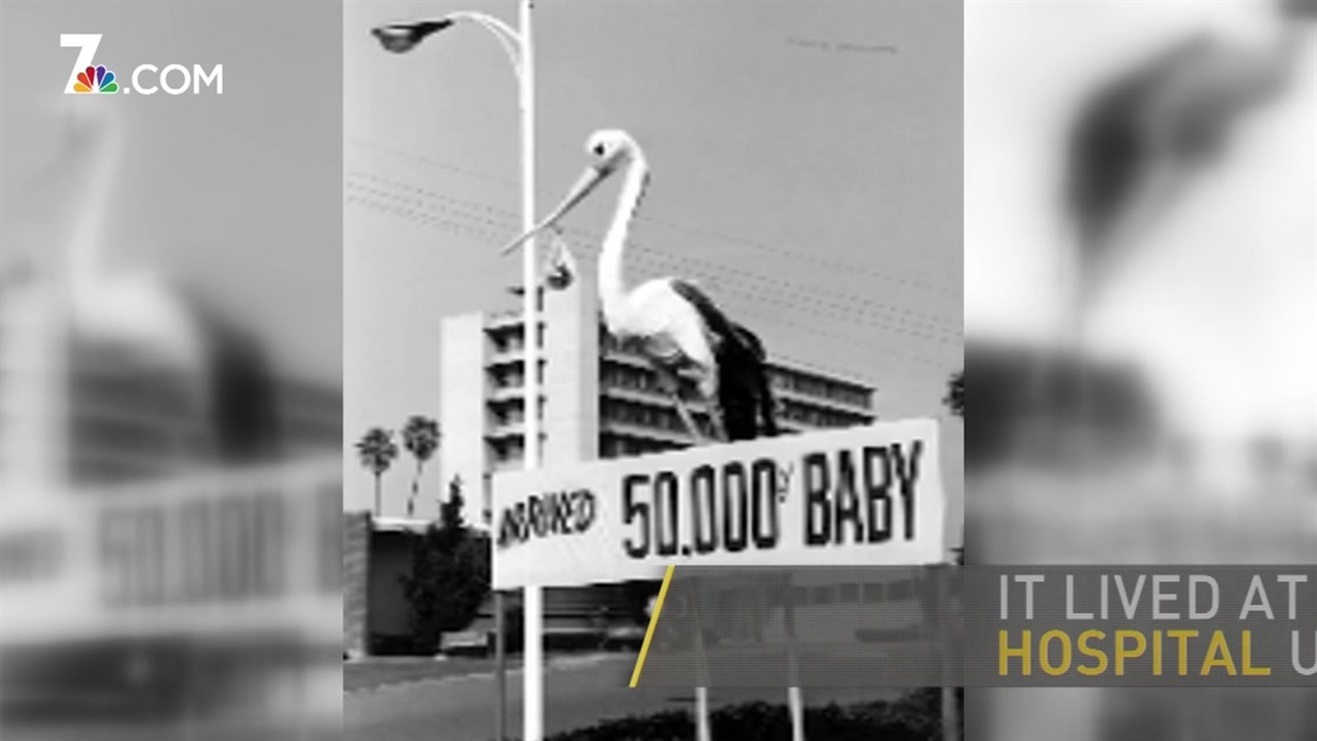 Sharp Mary Birch Stork Turns 60 – NBC 7 San Diego