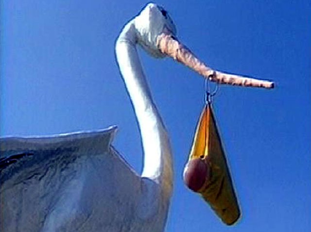 Where’s the Stork? – NBC 7 San Diego