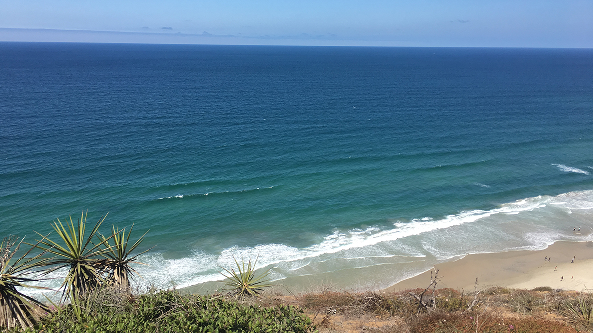 Torrey Pines Reserve to (mostly) close for months starting in November ...