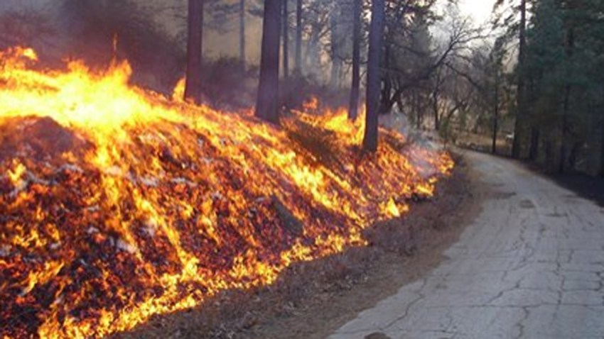 U.S. Forest Service to Begin Prescribed Burns – NBC 7 San Diego