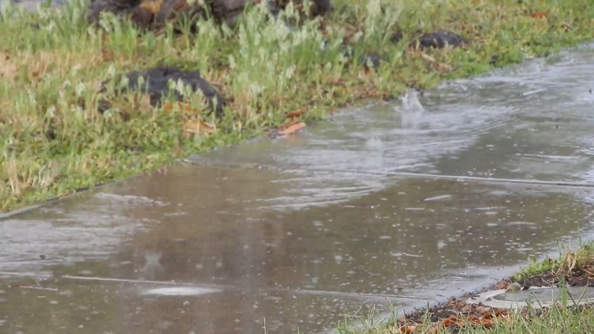 Blustery Early Spring Storm Douses San Diego Area – NBC 7 San Diego