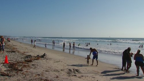Silver Strand, Dog Beach in Ocean Beach reopened this weekend – NBC 7 ...
