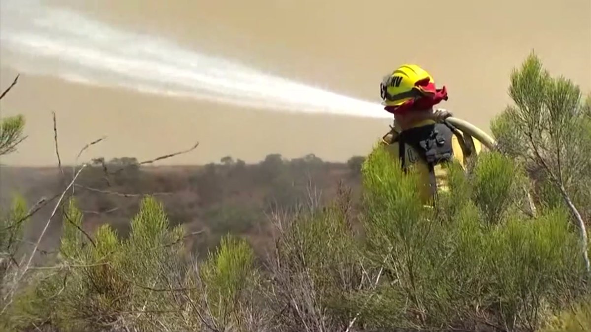 California Budget Seeks More Firefighters, Fire Protection – NBC 7 San ...