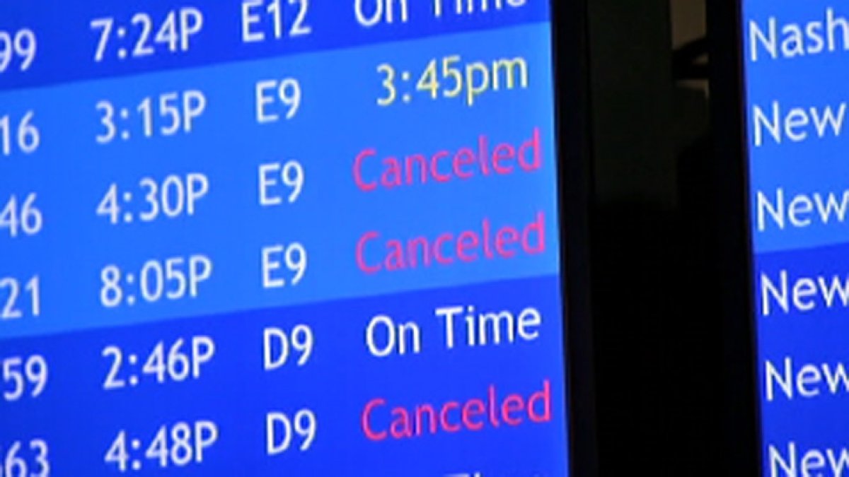 What are your options and rights if your flight is canceled during the ...