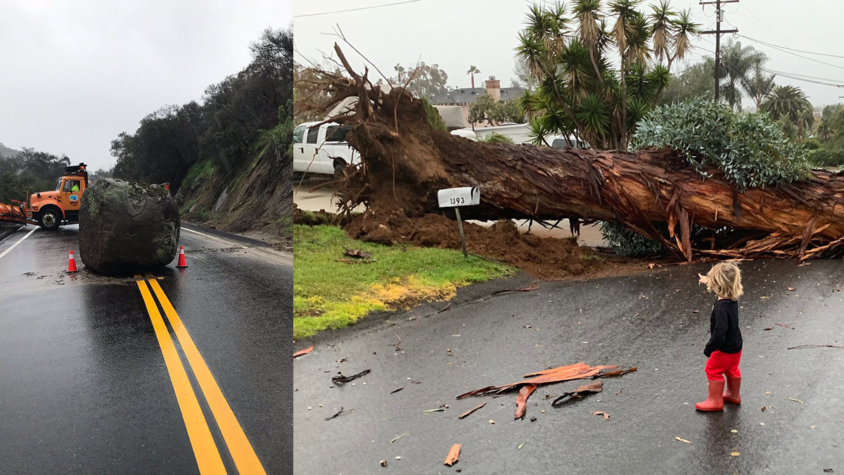 Storm Brings Down Trees, Utility Poles, Causes Damage Across County ...