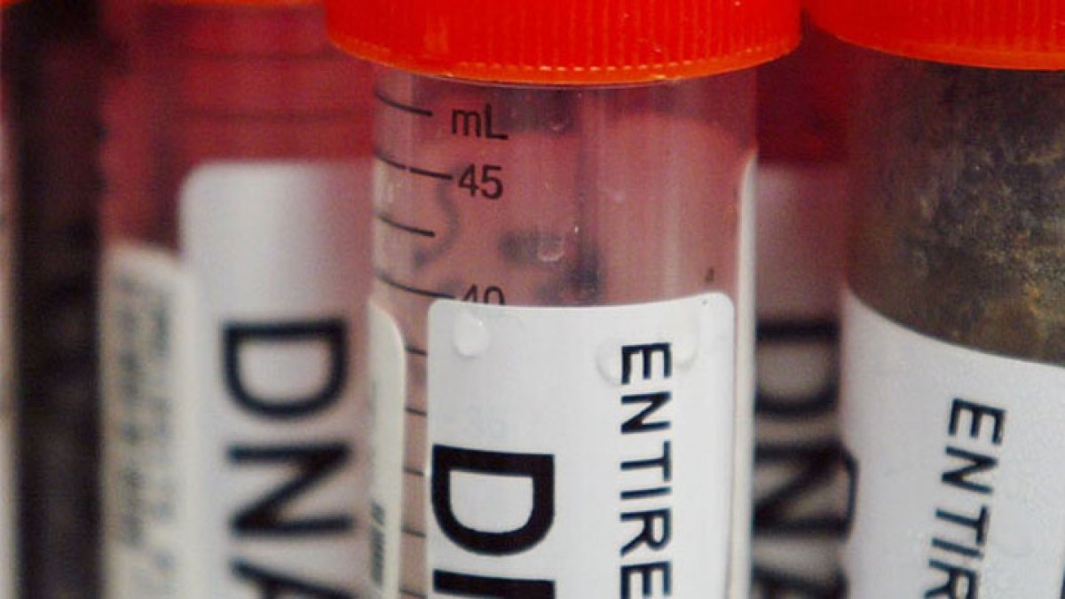 Arrest in 1999 Escondido Kidnap, Rape Cold Case – NBC 7 San Diego