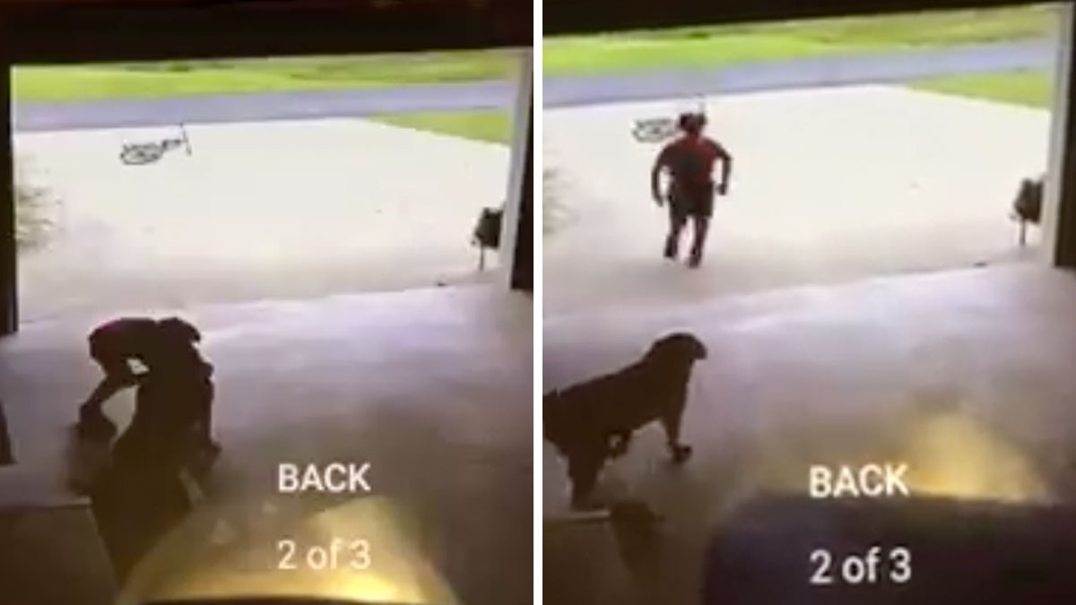 WATCH: Young Trespasser Caught Hugging Neighbor’s Dog – NBC 7 San Diego