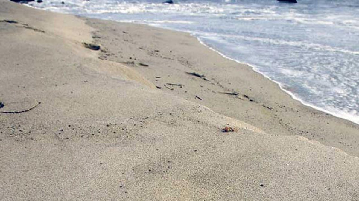 Rain Brings Bacteria Contamination Advisory to County Beaches – NBC 7 ...