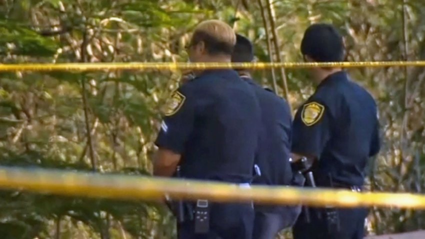 Fugitive Linked to Hawaii Murder Arrested in San Diego – NBC 7 San Diego