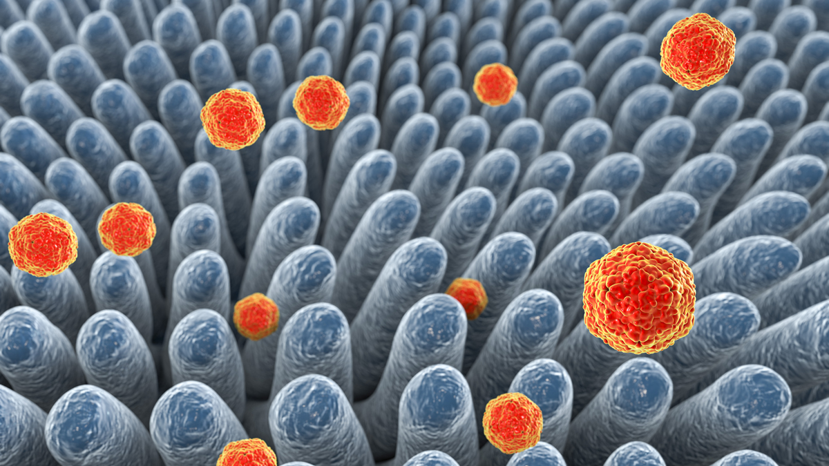 Hep A Returns to San Diego, Killing One and Sickening Five Others – NBC ...