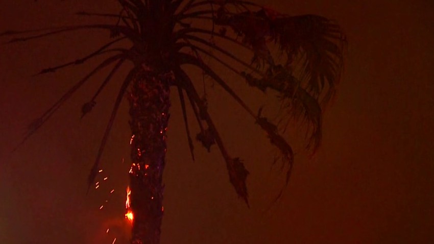 Palm Trees Catch Fire Off I-8 in College Area – NBC 7 San Diego