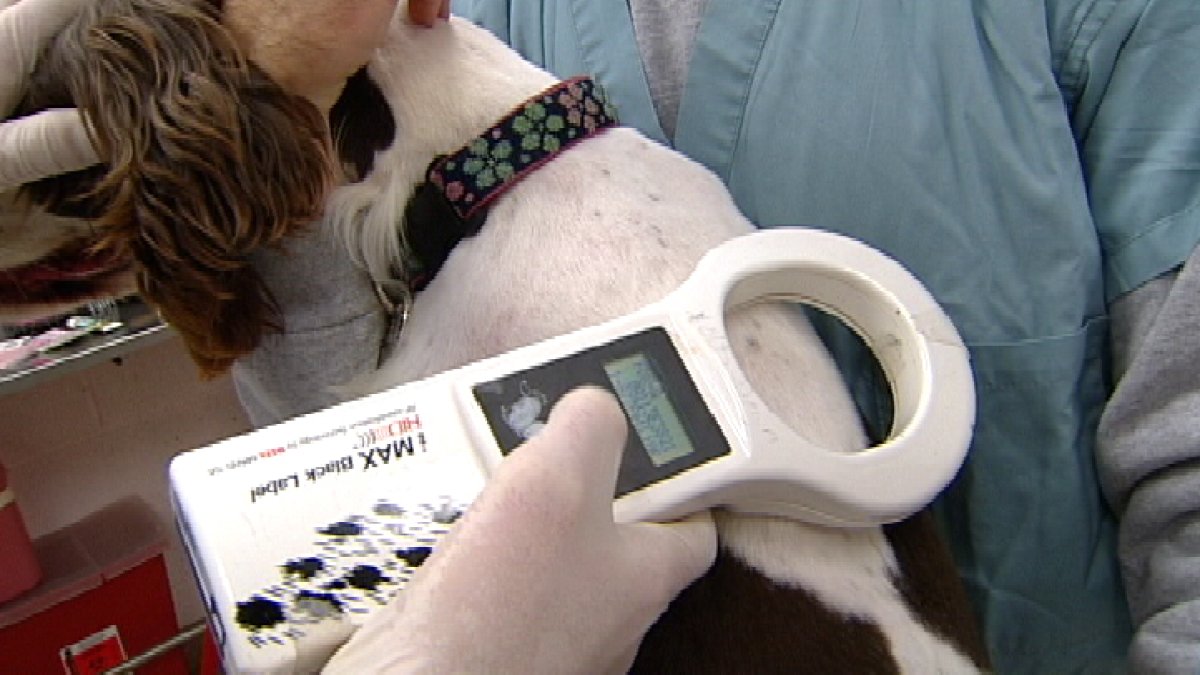 SD Humane Society offers free microchipping for pets ahead of holidays ...