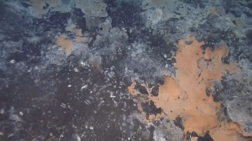 Rare Seafloor Methane Seep Found Near Del Mar – NBC 7 San Diego