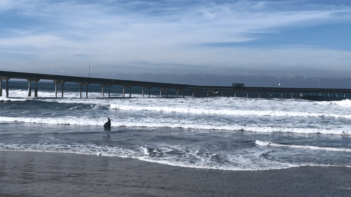 OB Pier Reopens After High Surf Peaks – NBC 7 San Diego