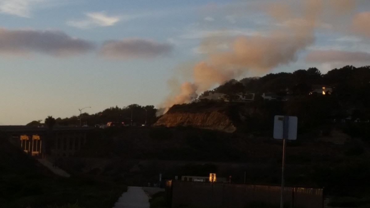 Fire Near Torrey Pines State Reserve Sends Smoke Billowing Into Air ...