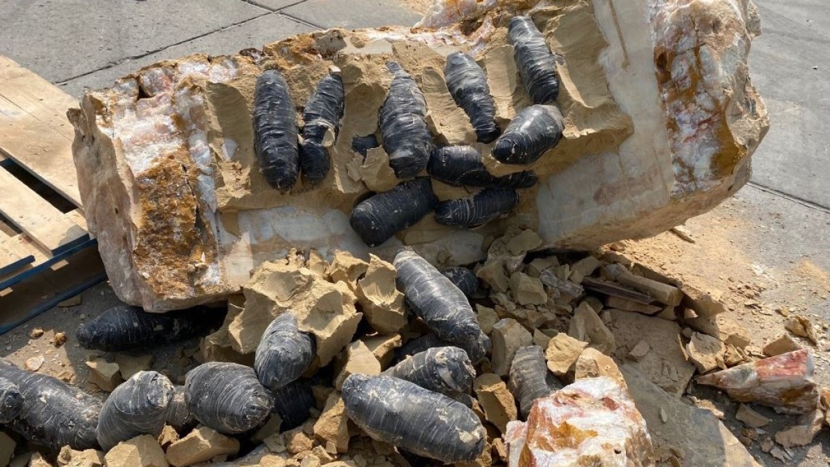 CBP Finds $3.9 Million Worth of Meth, Cocaine in Boulders at Tecate ...