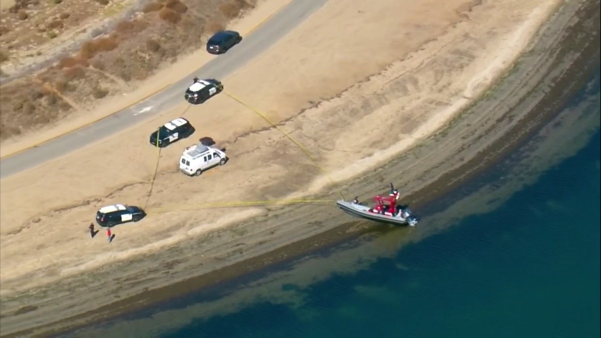 SDPD Confirms Bones Found in Fiesta Island Fire Pit Were Human, No Foul ...