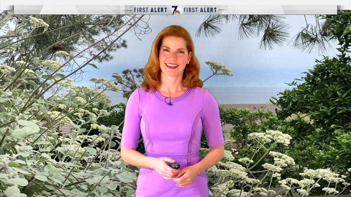 Dagmar Midcap’s Evening Forecast for Oct. 21, 2020 – NBC 7 San Diego