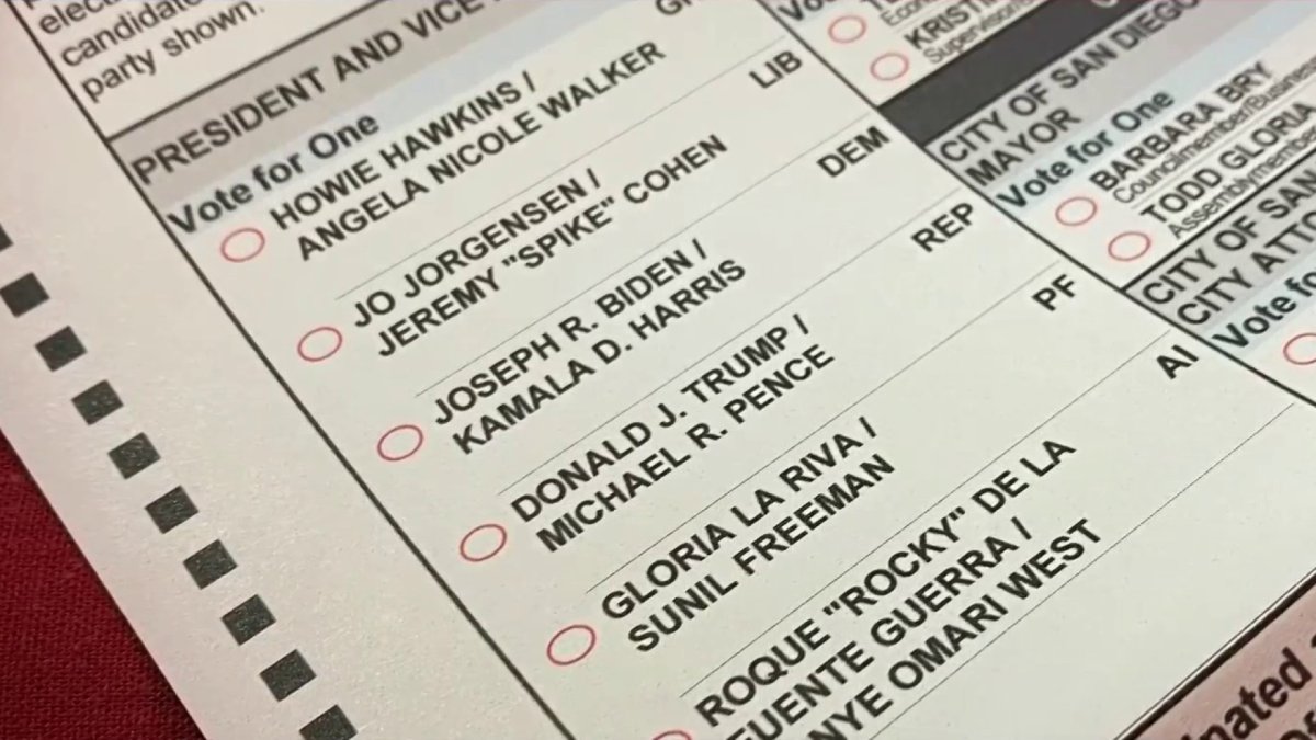 Voters Express Frustration, Sadness Over Unique and Divisive Election ...