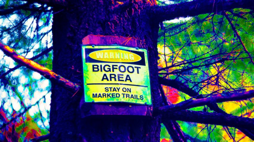 Bigfoot Daze, that whimsical Willow Creek jamboree, is stomping earlier ...
