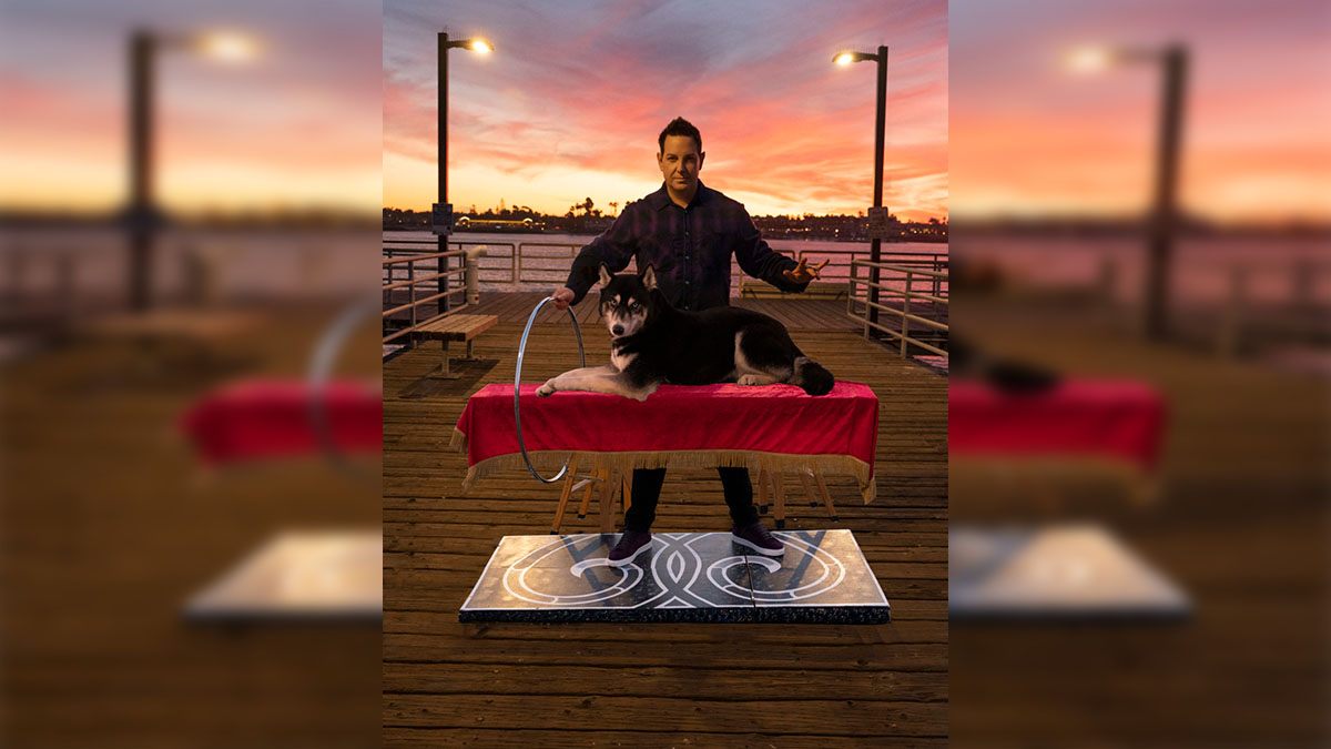 Houdini the Husky Does a Disappearing Act to a Forever Home – NBC 7 San ...