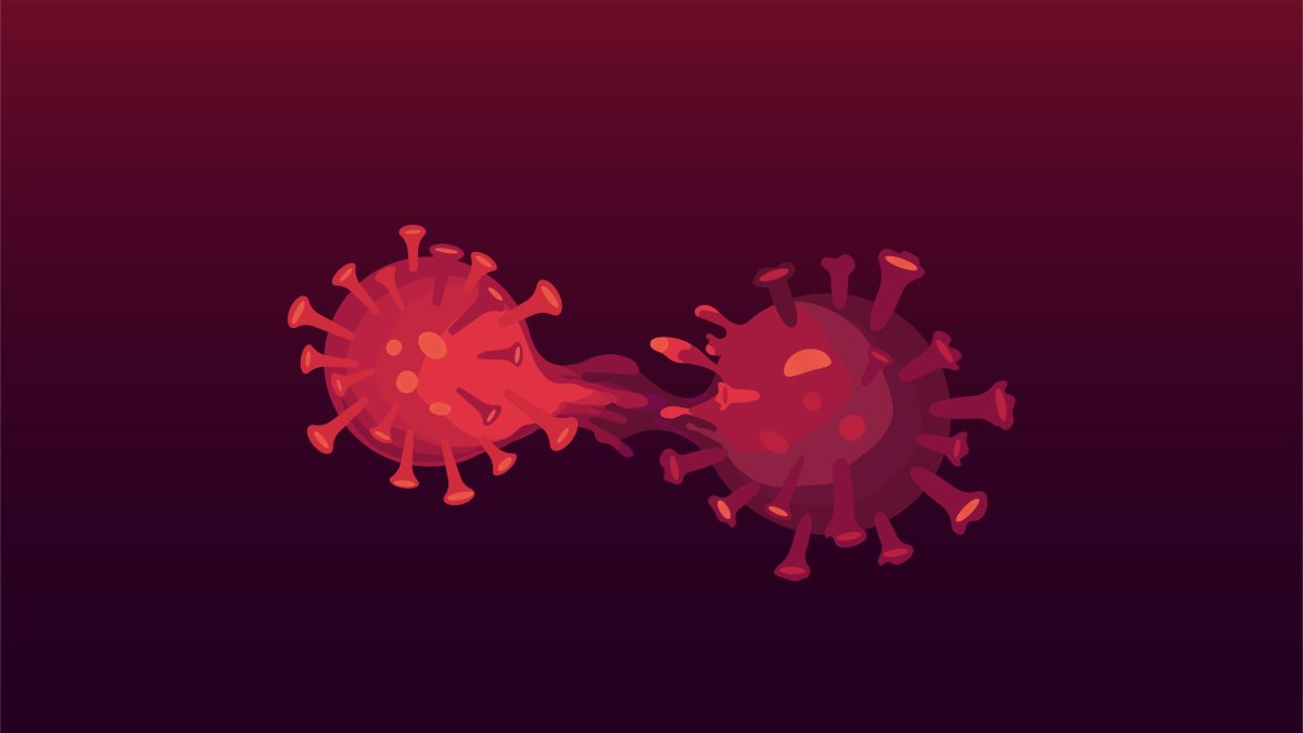 California Coronavirus Variant – NBC 7 San Diego
