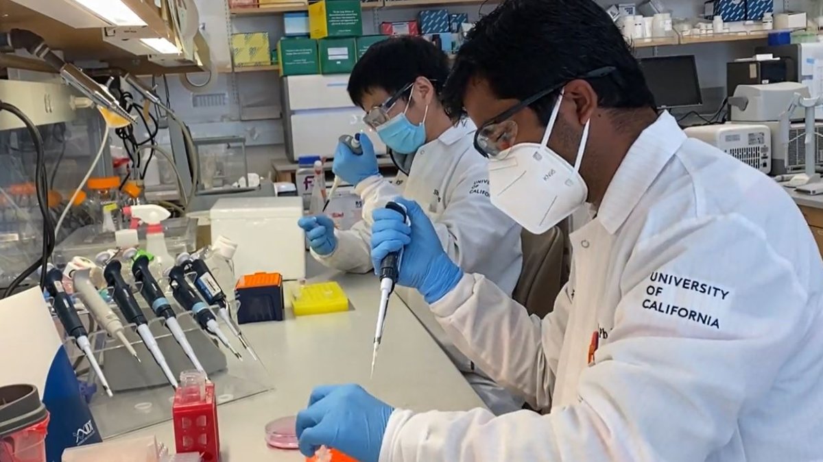 UCSD School of Medicine Researchers Understanding More About How COVID ...