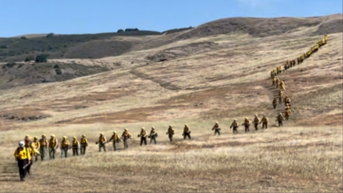Cal Fire Training National Guard Soldiers to Fight Wildfires – NBC 7 San Diego