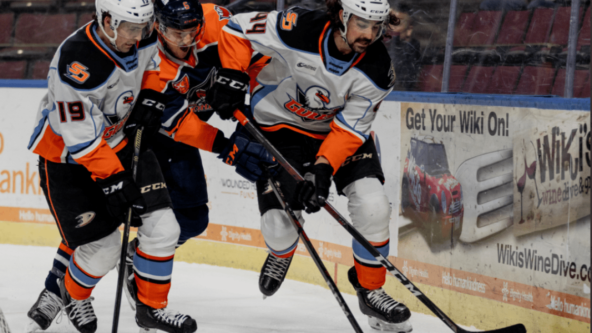 Gulls Open Playoffs With Win in Bakersfield – NBC 7 San Diego