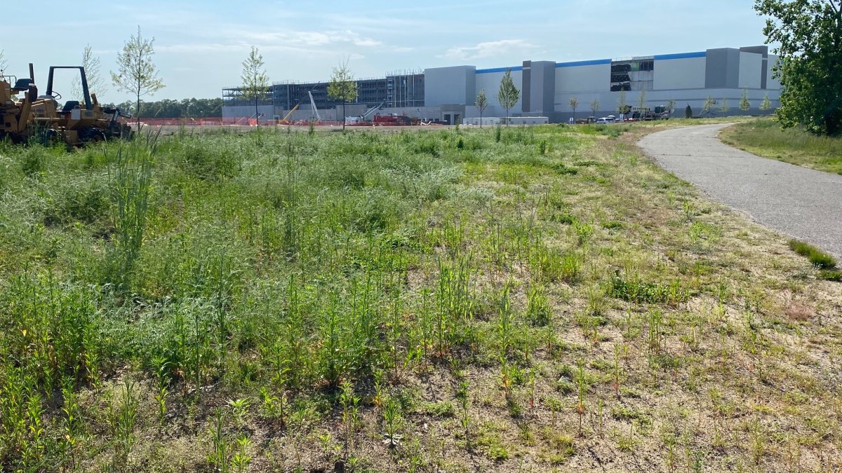 Amazon Closes Connecticut Construction Site After Nooses Found – NBC 7 ...