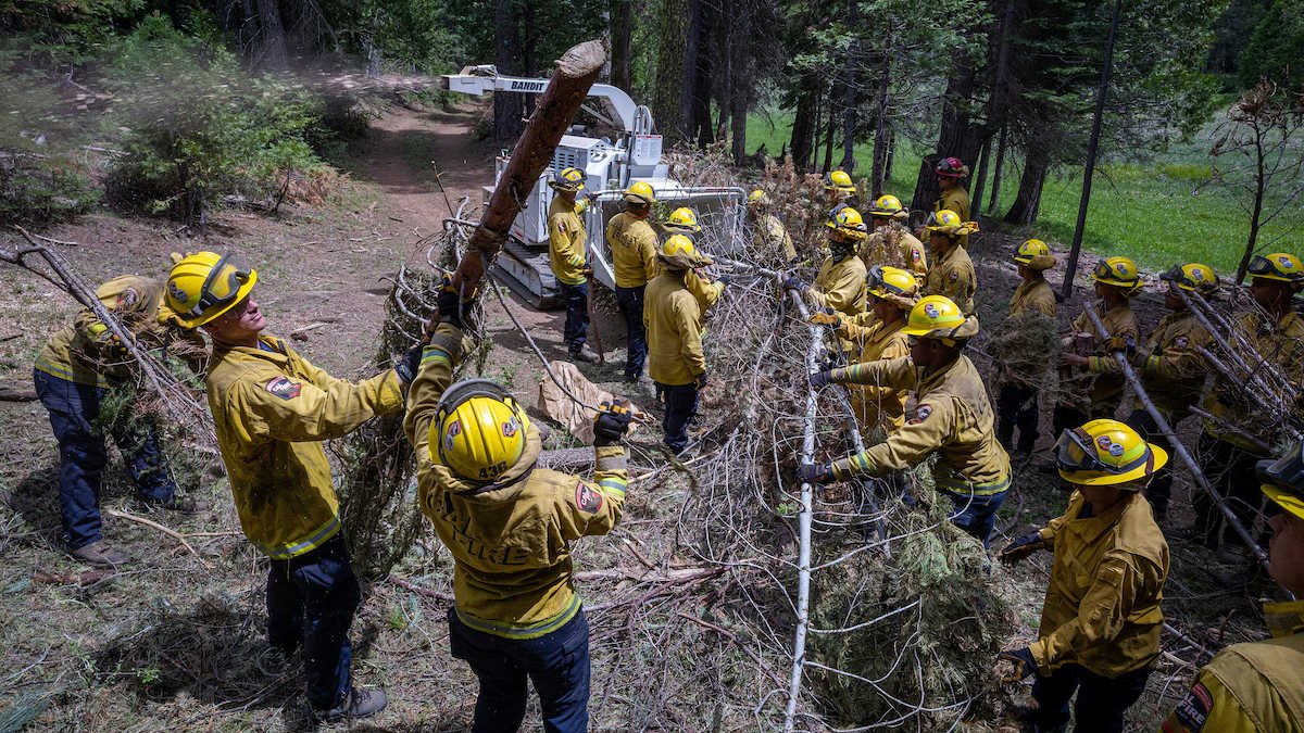 Federal Firefighter Pay to Increase, Biden Says – NBC 7 San Diego