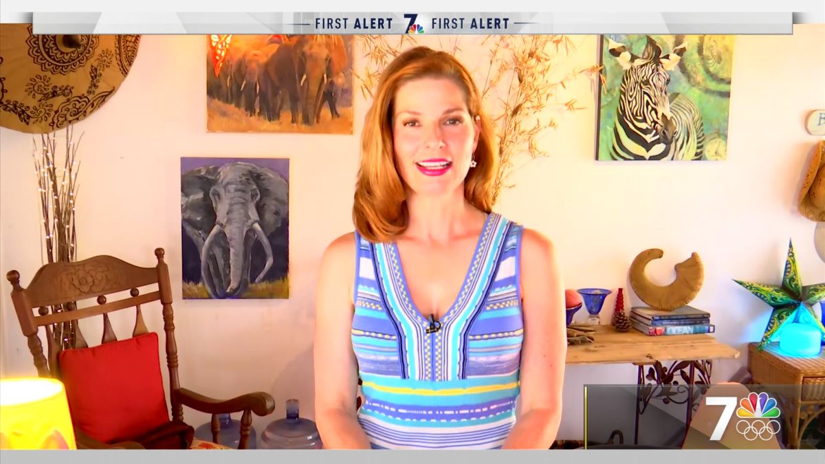 Dagmar Midcap’s Evening Forecast for July 19, 2021 – NBC 7 San Diego