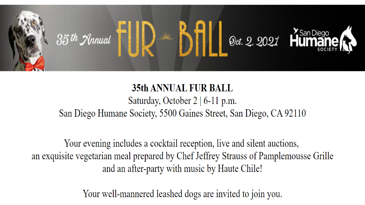 San Diego Humane Society’s 35th Annual Fur Ball – NBC 7 San Diego