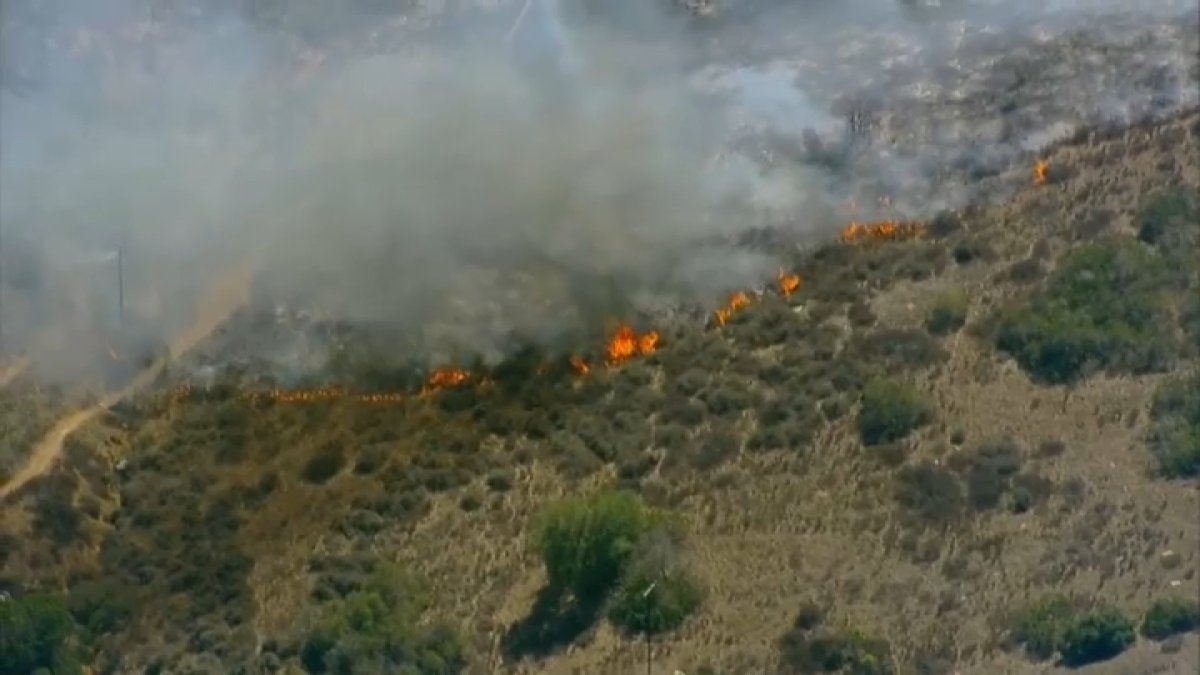 Brush Fire in Vista Near Guajome Park Halted – NBC 7 San Diego